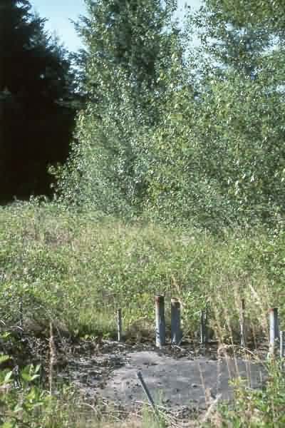 Recent Photos of Adair AFS, OR BOMARC Site